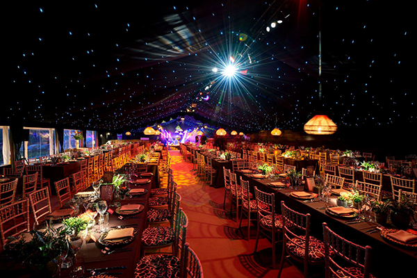 Starlight Linings - Custom Covers