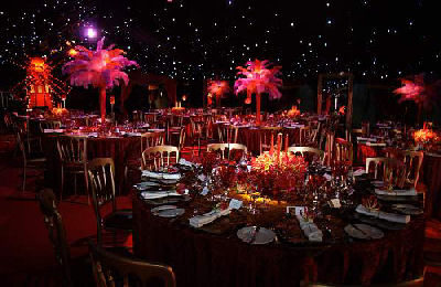 Starlight Linings - Custom Covers